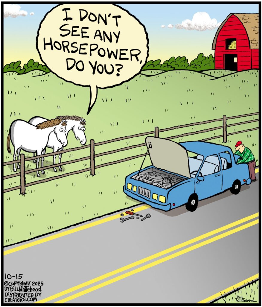 The Latest “Free Range” Comics by Bill Whitehead - Odd News