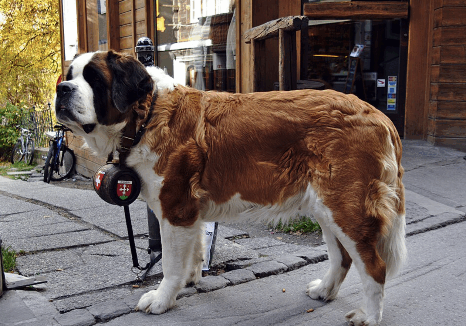 Odd News - Real News. Real Odd. Real Funny.