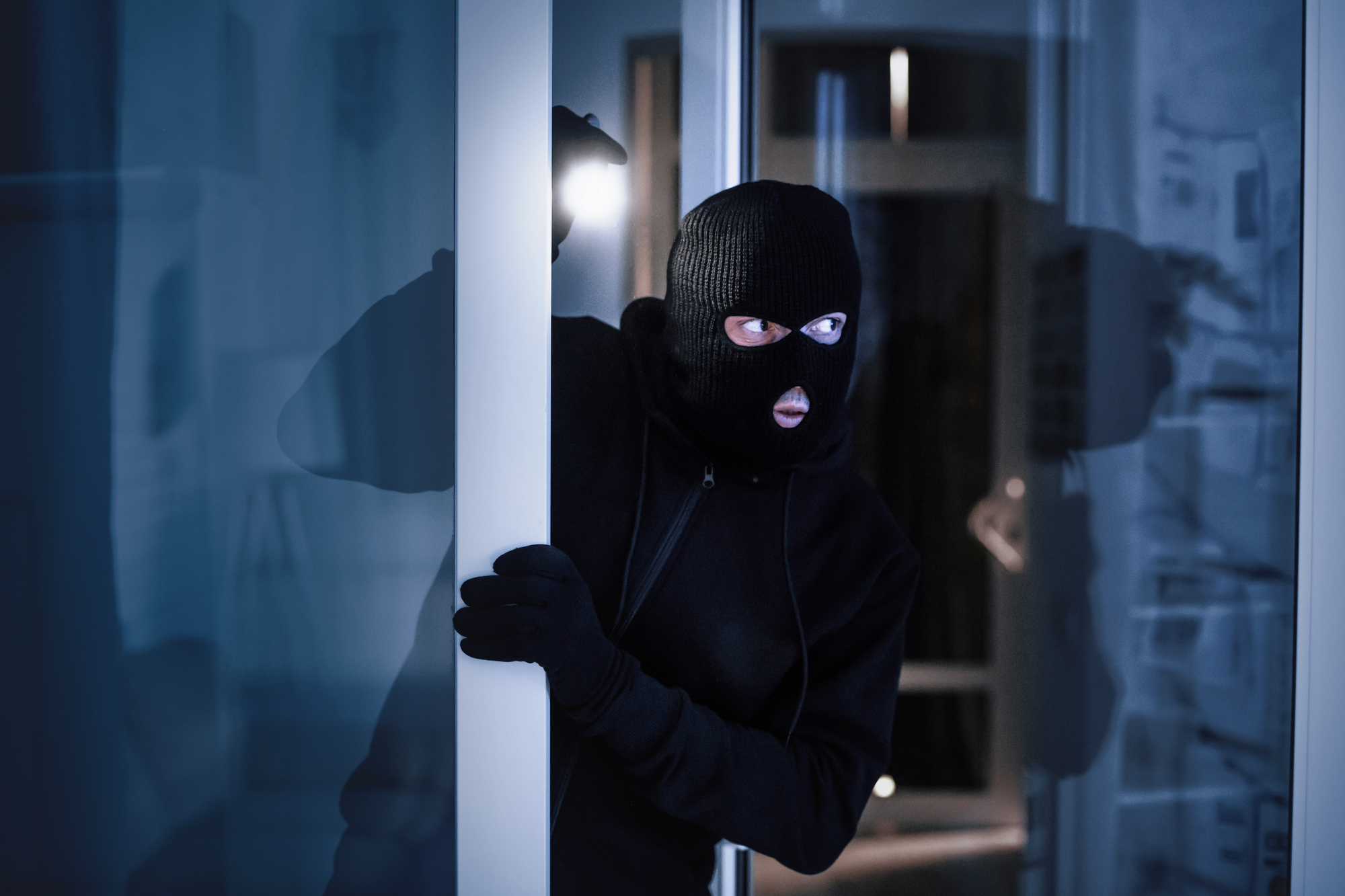 The American Economy’s Silent Victim: The Common Criminal - Odd News