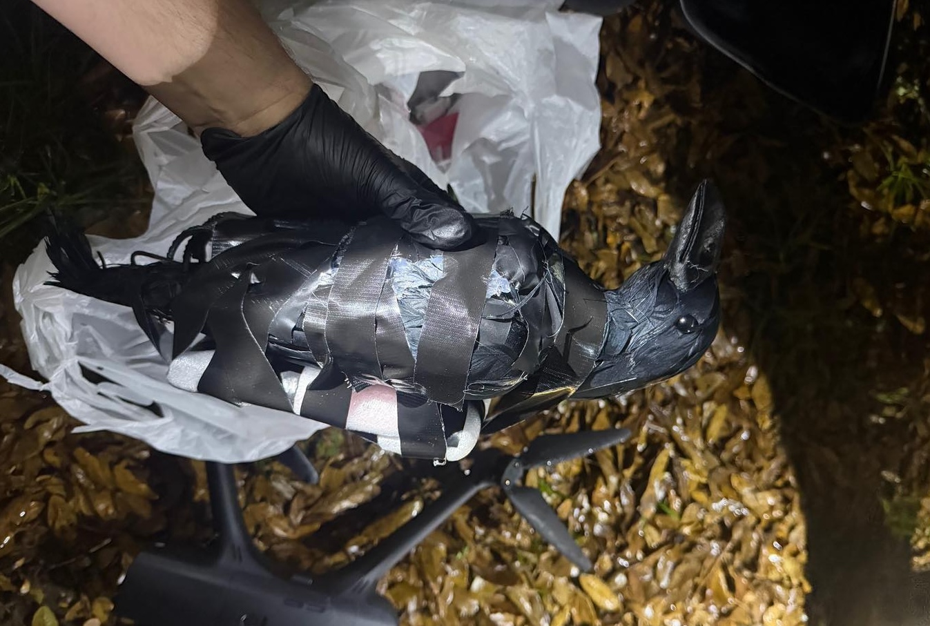 Crow Drones Stuffed With Drugs Flown Into Prison - Odd News