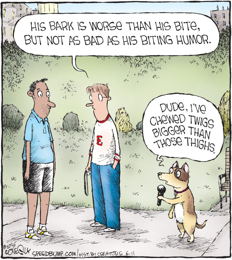 The Latest Comic Strips From The Creators Syndicate (6/11) - Odd News